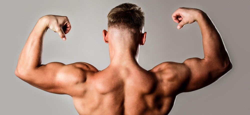 Parallel Bar Dips Exercise 2025 | Build Upper Back Strength with ...